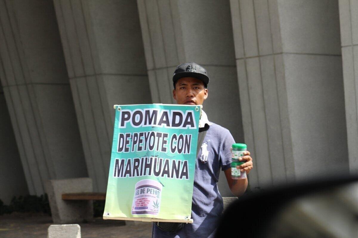 7 Cosas Que Podrás Hacer Cuando Morena Legalice La Marihuana En México