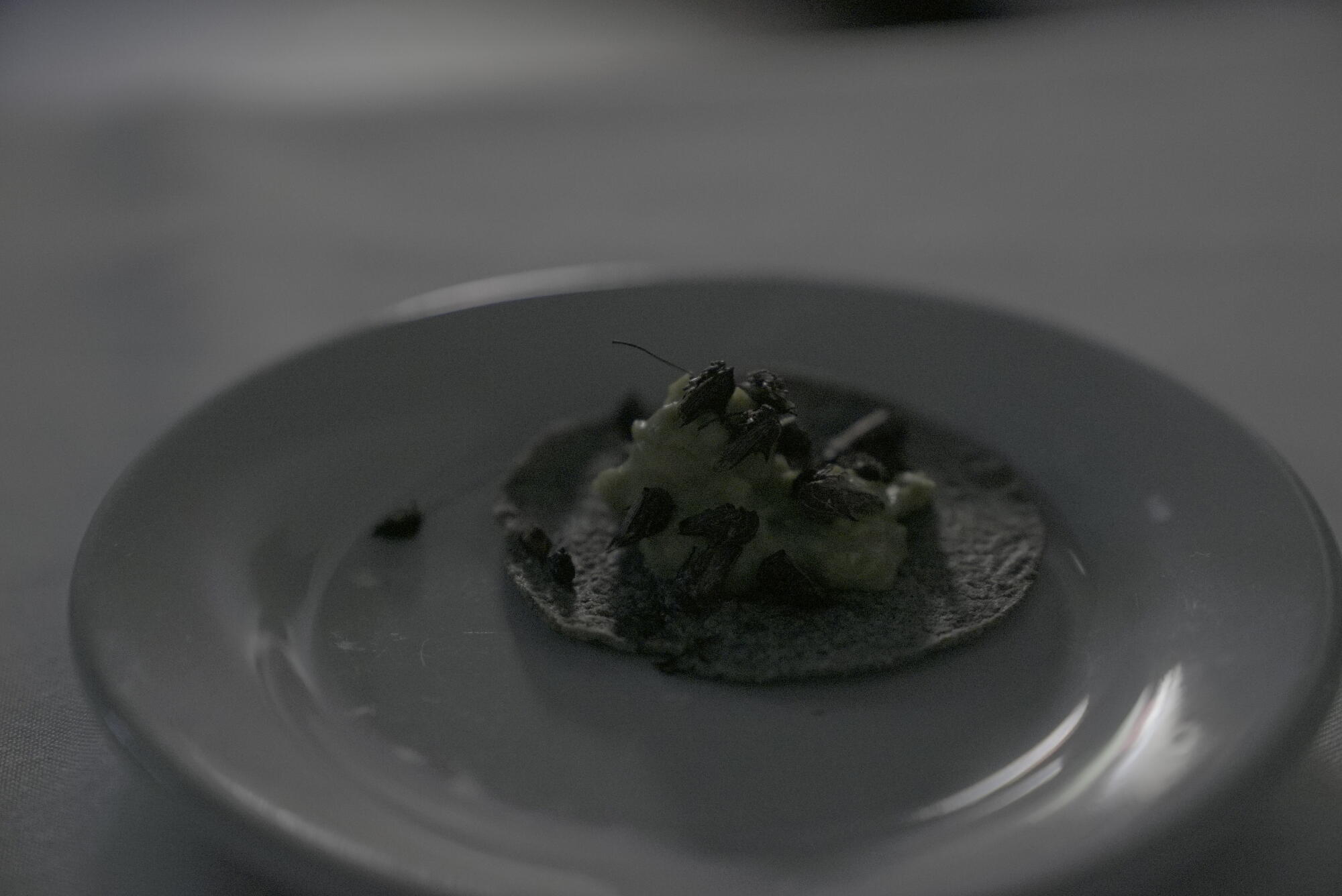 Ginebra de maíz rojo y tacos de insectos: el éxito de la gastronomía ...