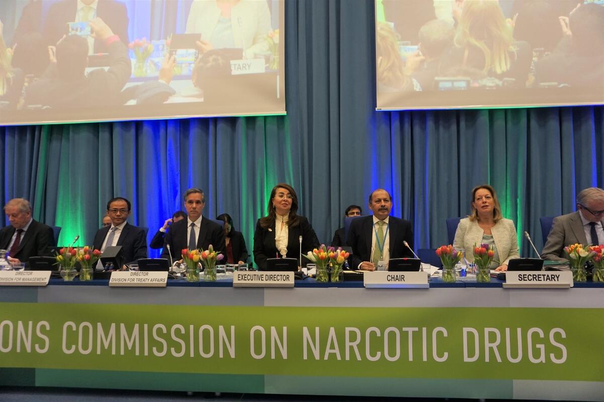 ONU reconoce oficialmente propiedades medicinales del cannabis | CC News