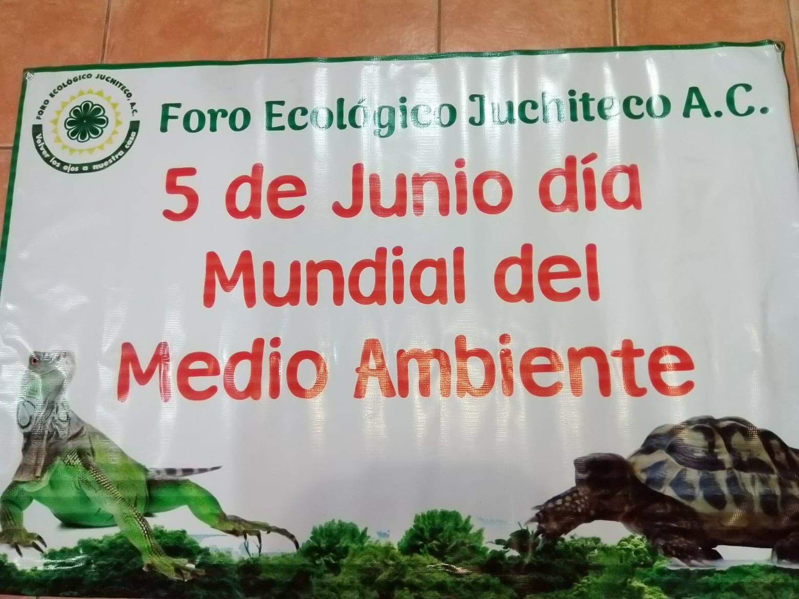 ‘Nos duele mucho’: roban más de 40 iguanas del Foro Ecológico de ...